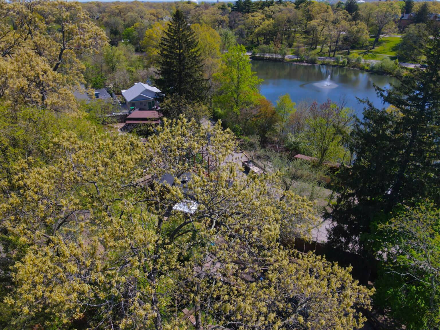 Roofing Installation for Red Panda Enclosure at Roger Williams Park Zoo ...